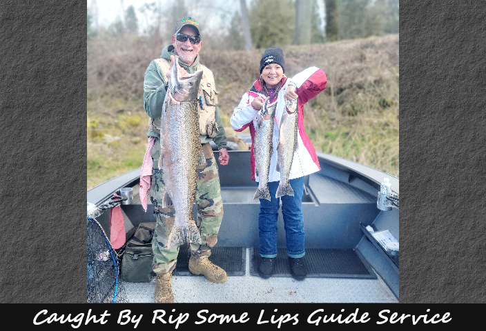 Cowlitz River Live : Web Cam