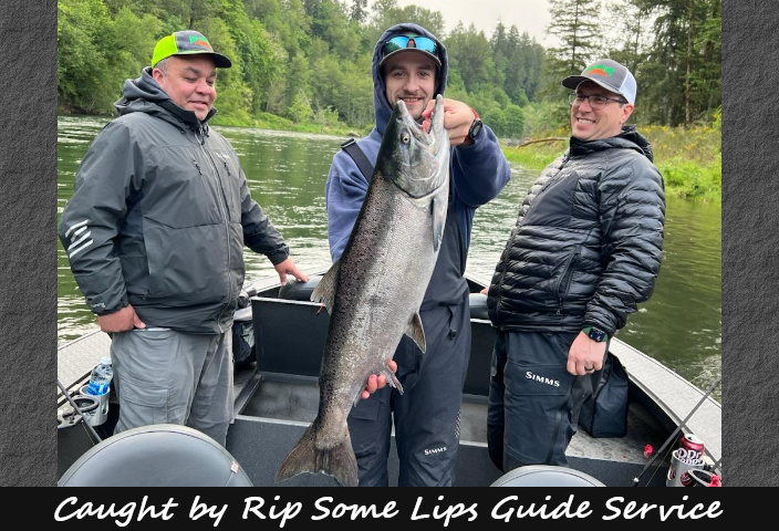 Cowlitz River Live : Web Cam