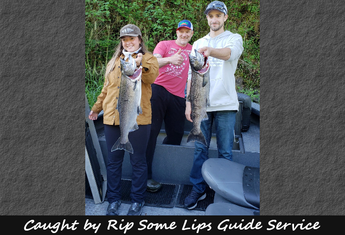 Cowlitz River Live : Web Cam