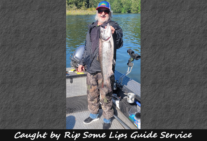 Cowlitz River Live : Web Cam