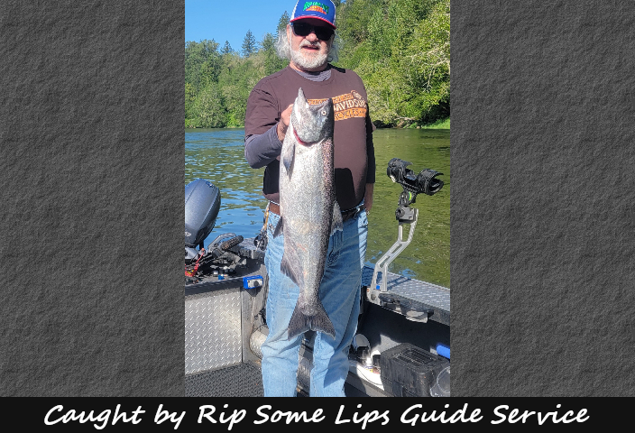 Cowlitz River Live : Web Cam