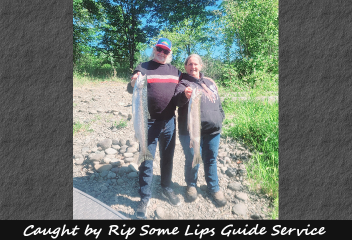 Cowlitz River Live : Web Cam