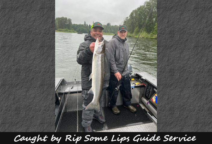 Cowlitz River Live : Web Cam