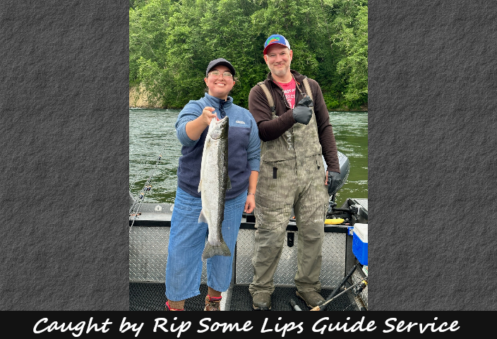 Cowlitz River Live : Web Cam