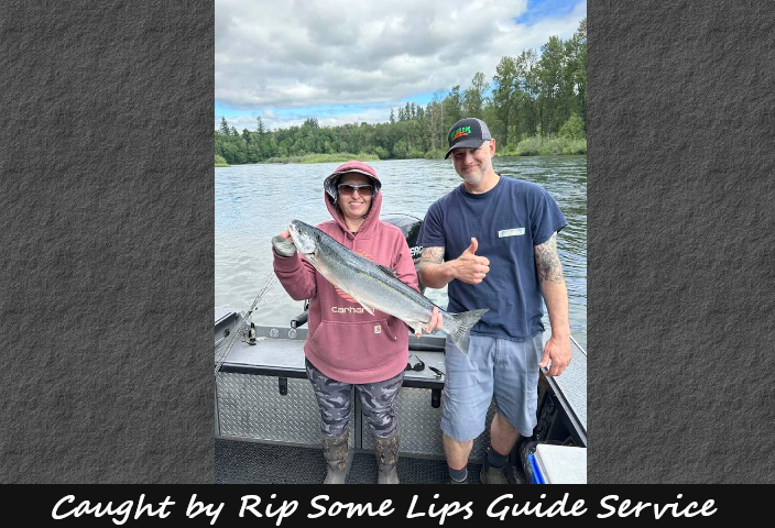 Cowlitz River Live : Web Cam