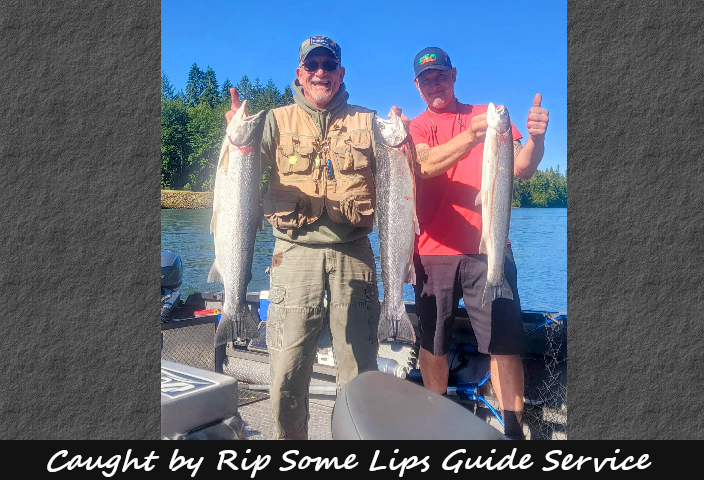 Cowlitz River Live : Web Cam