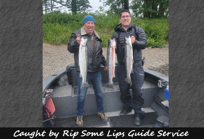 Cowlitz River Live : Web Cam